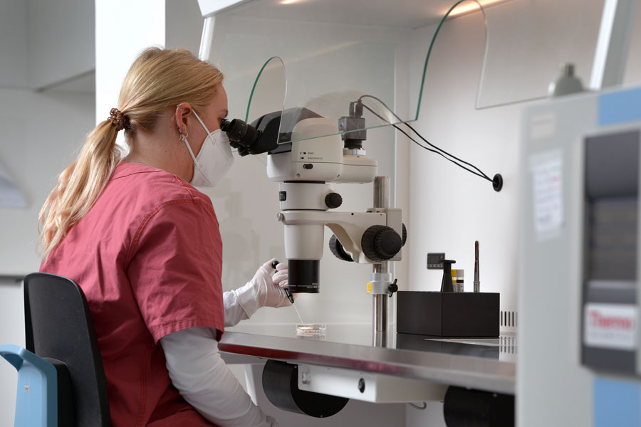 IVF laboratory | Kinderwunsch- & Hormonzentrum Frankfurt